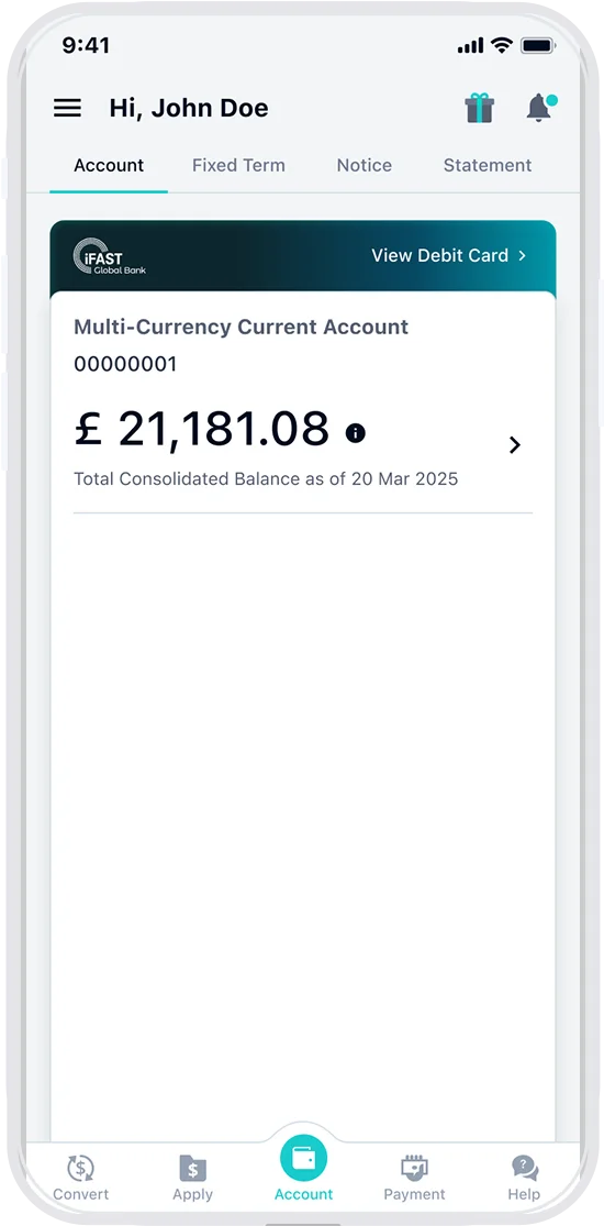 Interest-bearing Multi-Currency Current Account